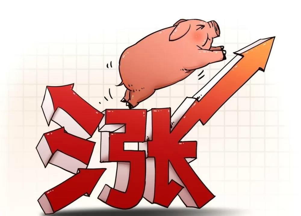 猪价快速上涨截图