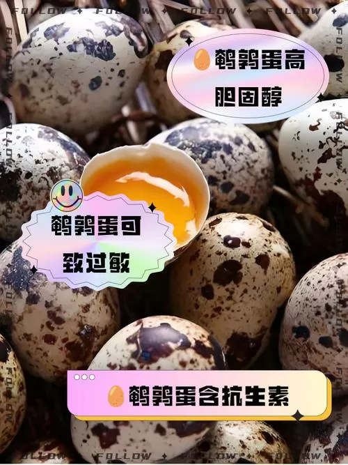鹌鹑蛋为啥不建议吃