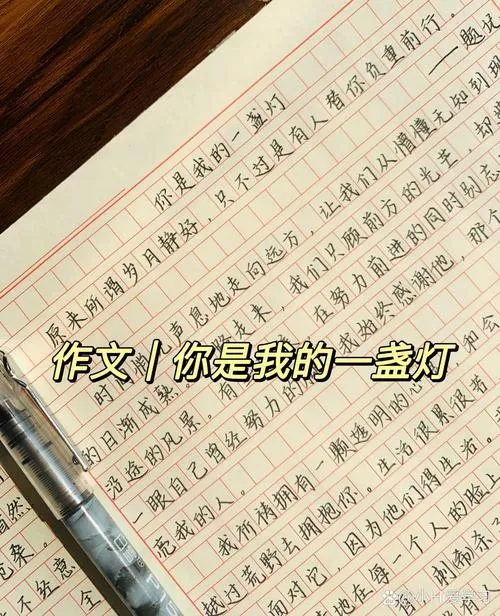 你是我的一盏灯800字记叙文截图