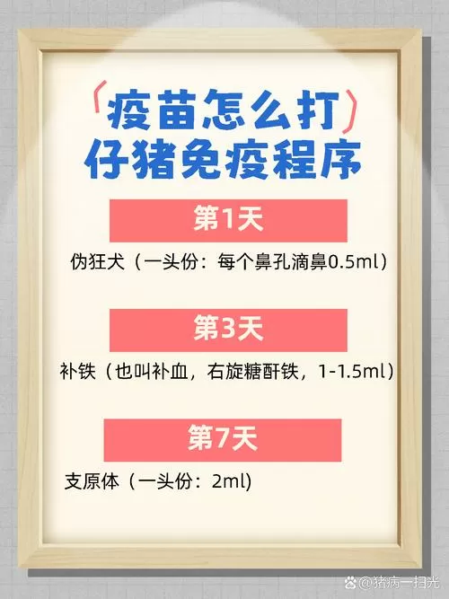 仔猪标准免疫程序表截图