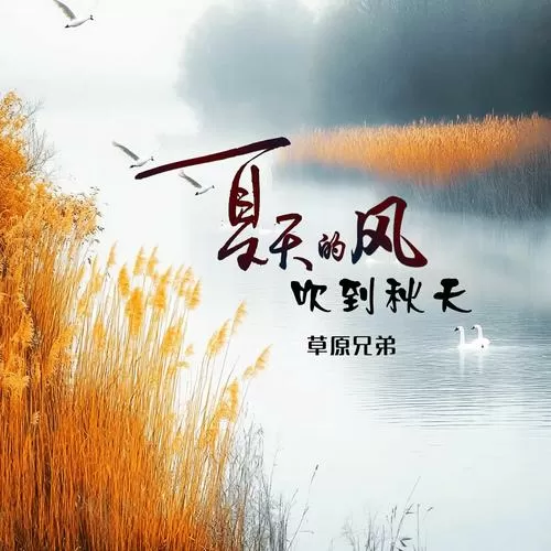 歌曲宝网站入口官方夏天的风吹到秋天截图