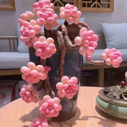 孕育之卵桃子移植怎么玩截图