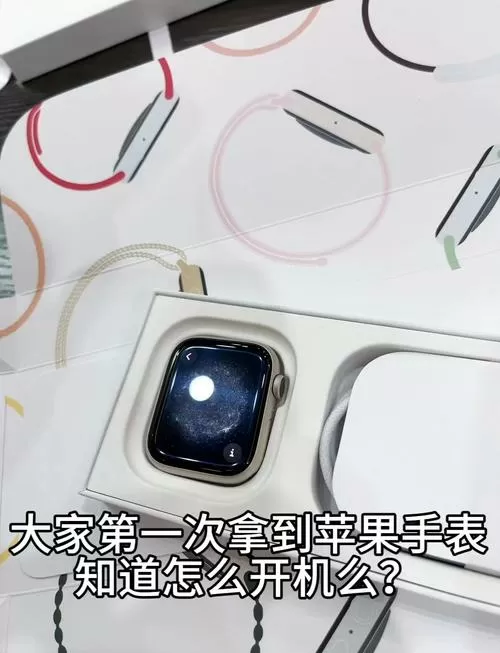 苹果手表开机教程截图