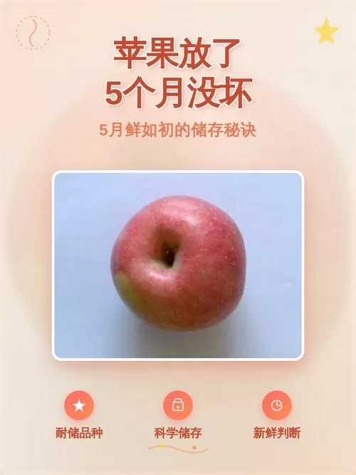 苹果放了5个月没坏图标