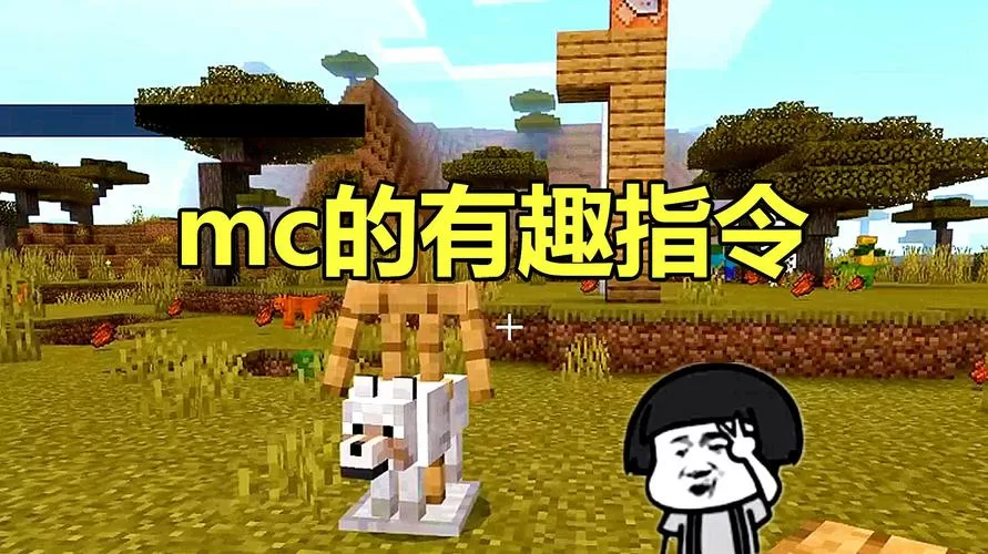 我的世界让盔甲架有手的指令