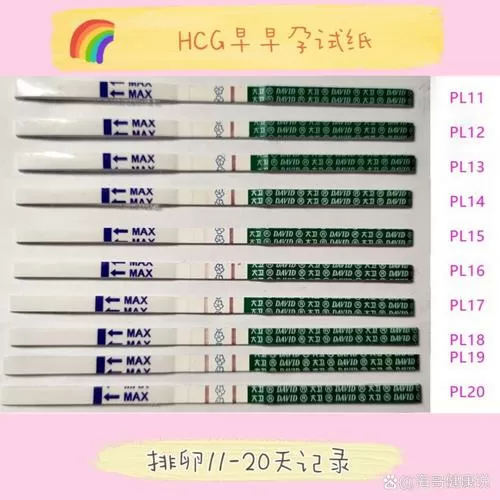 hcg翻4倍代表什么截图