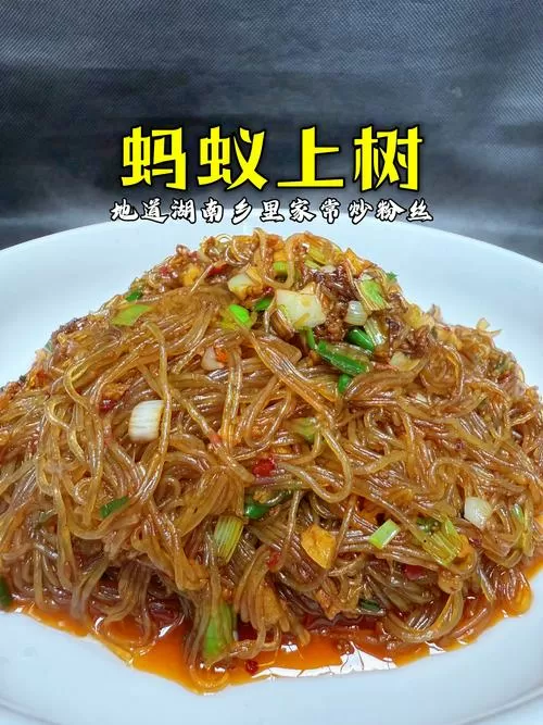蚂蚁上树是什么截图