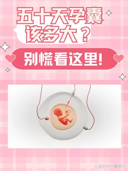 50天一条杠但怀孕了图标