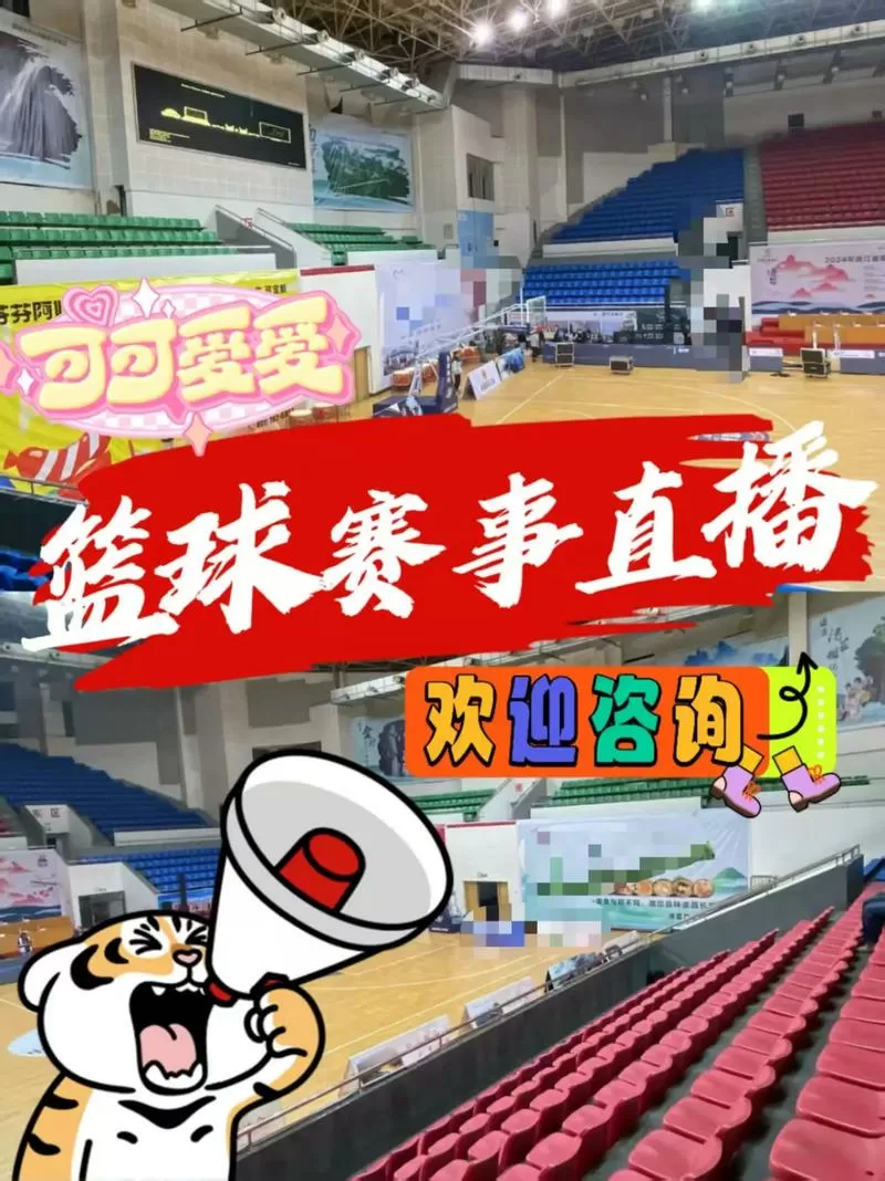 ipbl篮球专业组比赛直播