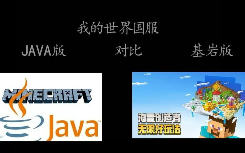我的世界java基岩版区别大吗图标