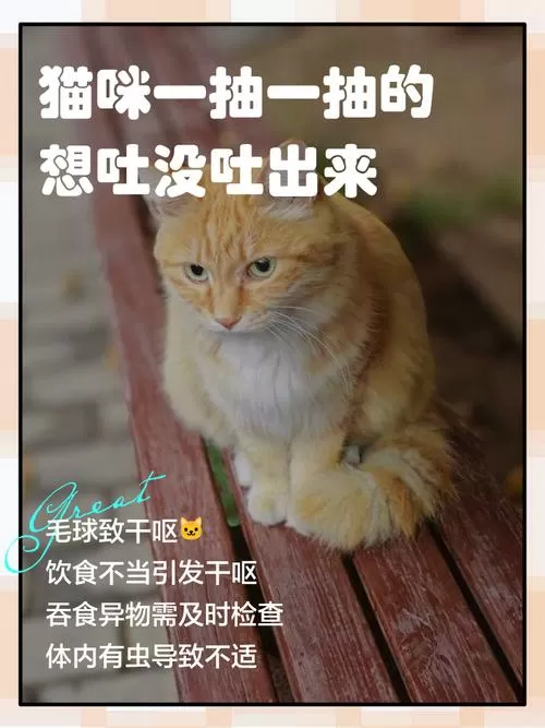 猫咪呕吐肚子一抽一抽图标