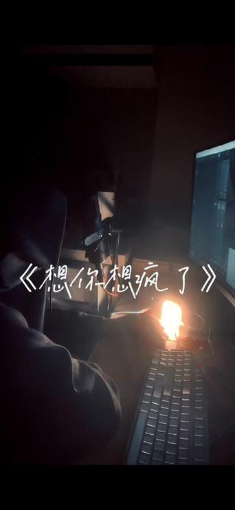 《想你想疯了》作者:奚六图标