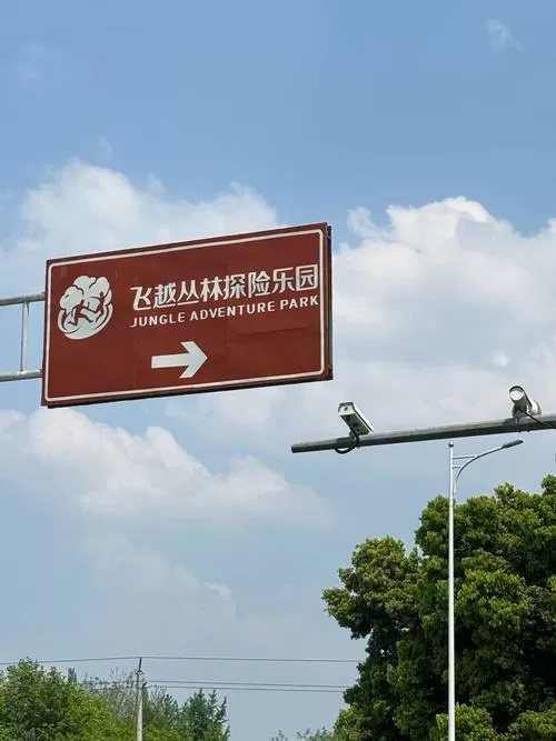 散步随拍图标