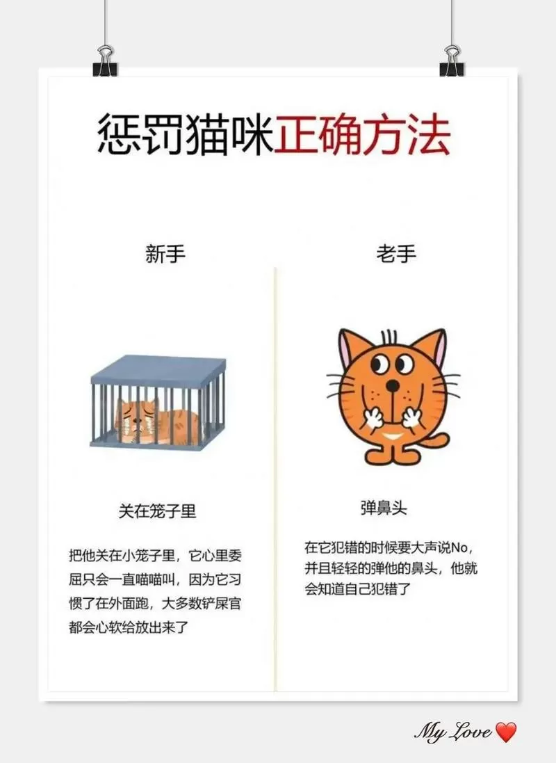 惩罚猫之后如何安抚图标