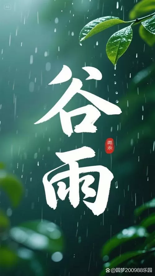 谷雨影视图标