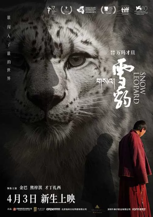 电视剧《雪豹》免费图标