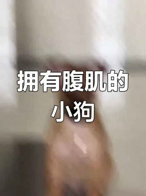 24块腹肌表情包图标