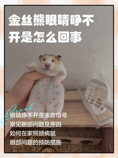 仓鼠睁不开眼睛四肢无力快要死了图标