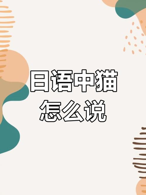 日语猫是nego还是neko截图