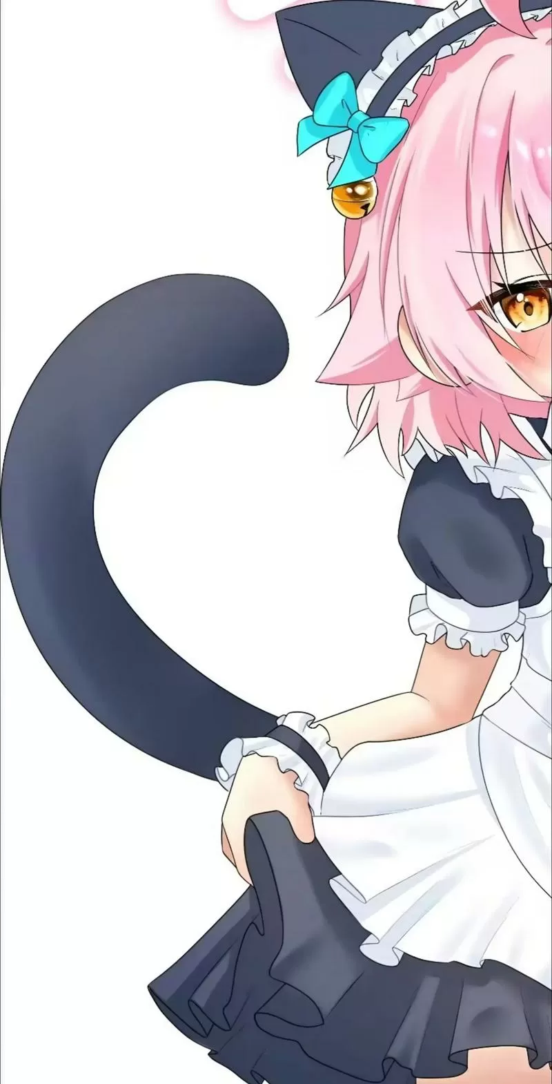 把猫耳女仆捡回家安卓截图