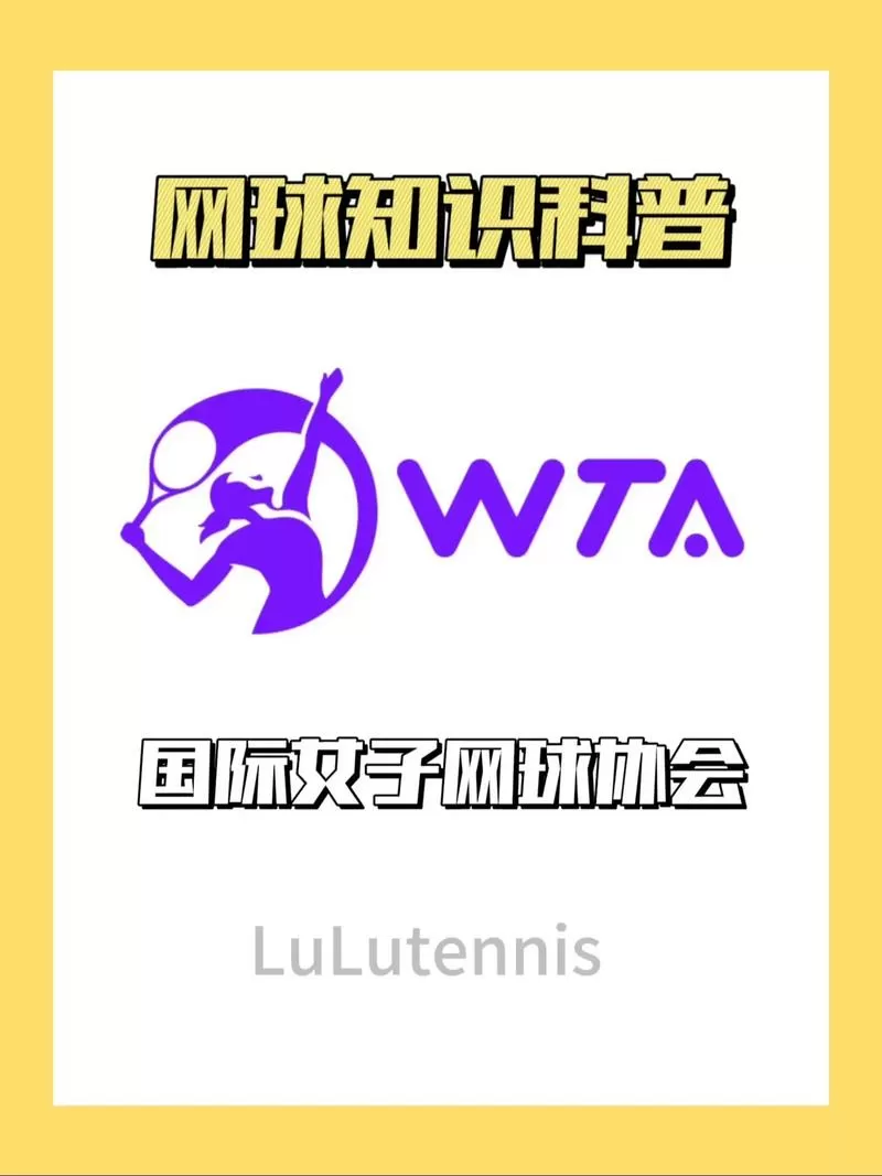 tennis和badminton区别