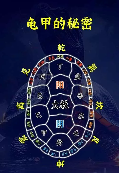 问道乌龟怎么加点好