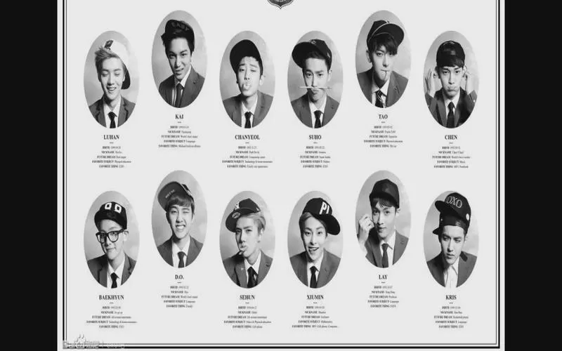 exo成员资料简介12人截图