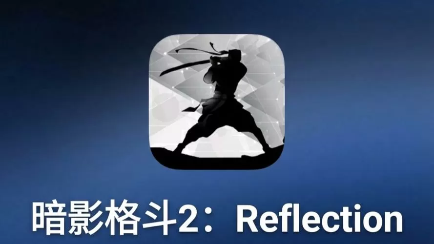暗影格斗2直装满级版截图