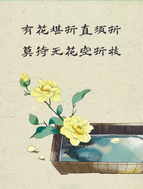 莫到花落空折枝的上一句是什么截图