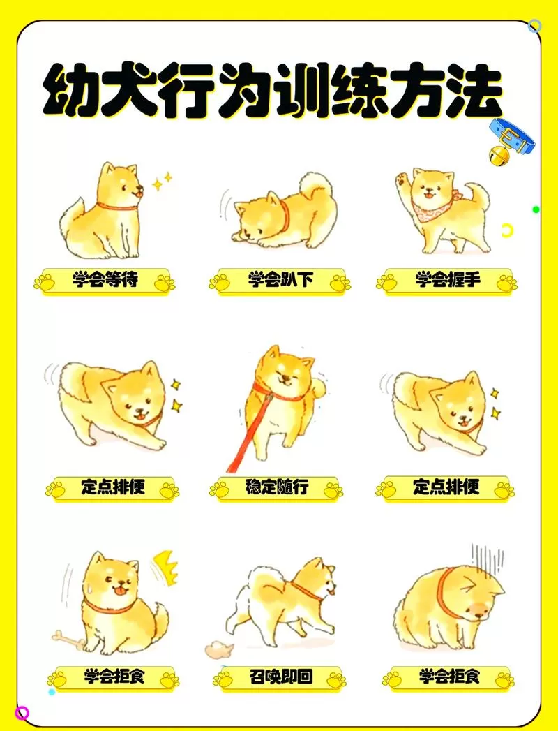 如何训练狗狗不乱叫截图