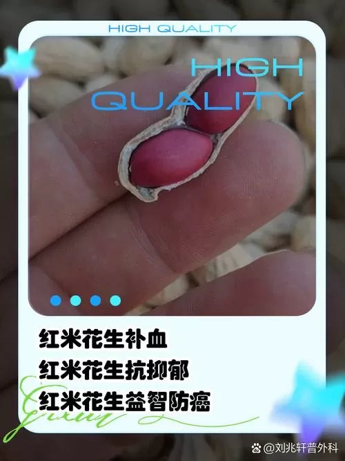 红米子花生的功效图标