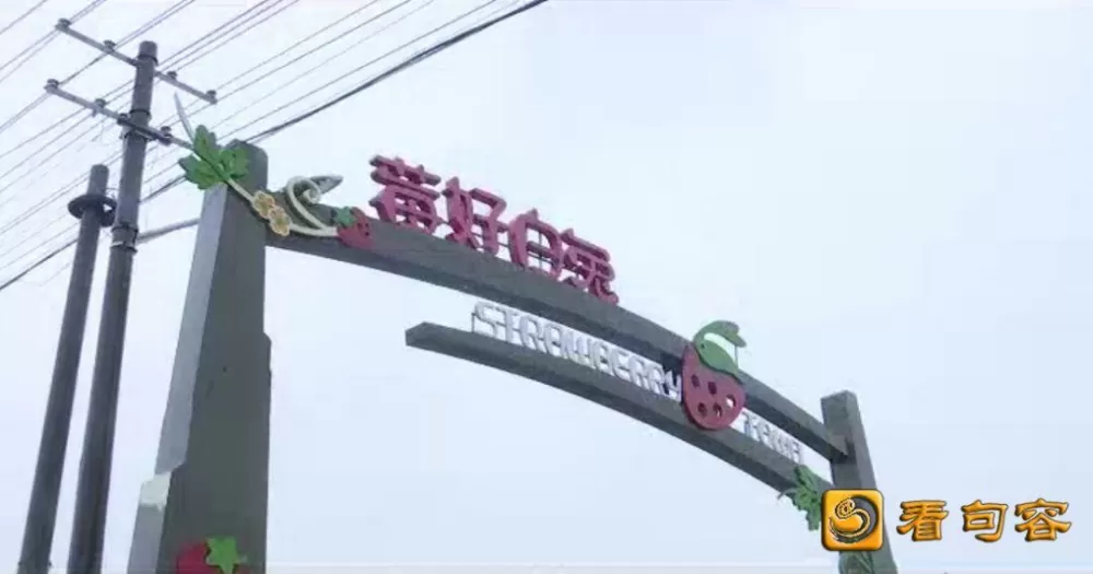 白兔镇为什么叫白兔图标