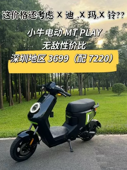 迷你牛多少钱一只图标