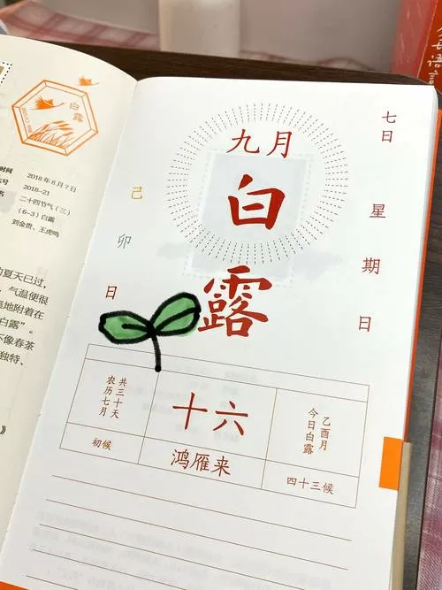 2020年白露是几月几号到几号游戏截图