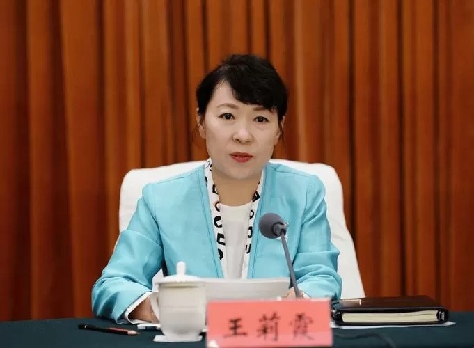 正部级王莉霞被查图标