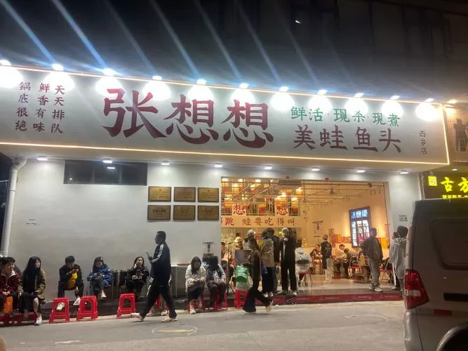 张想想个人资料和照片游戏截图