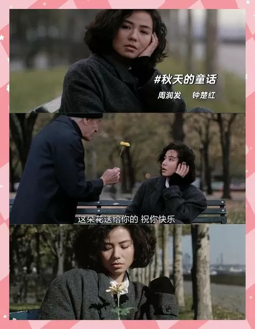 关于枫叶的电影缩略图