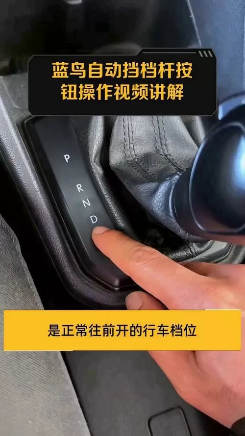 蓝鸟挂档杆左边的按钮截图