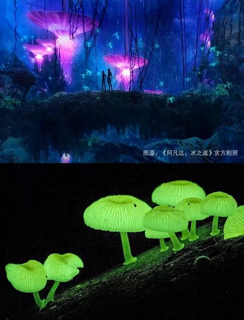 潘多拉星球比地球大吗图标