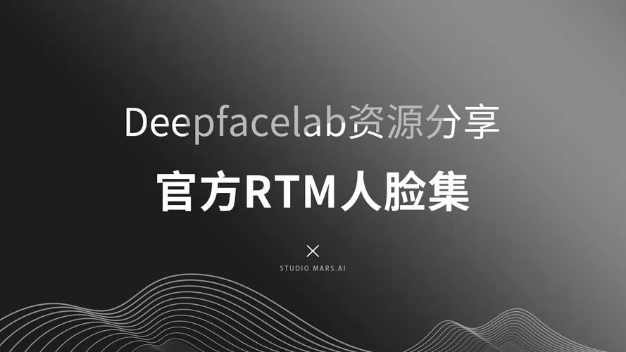 deepfacelab集成环境版图标