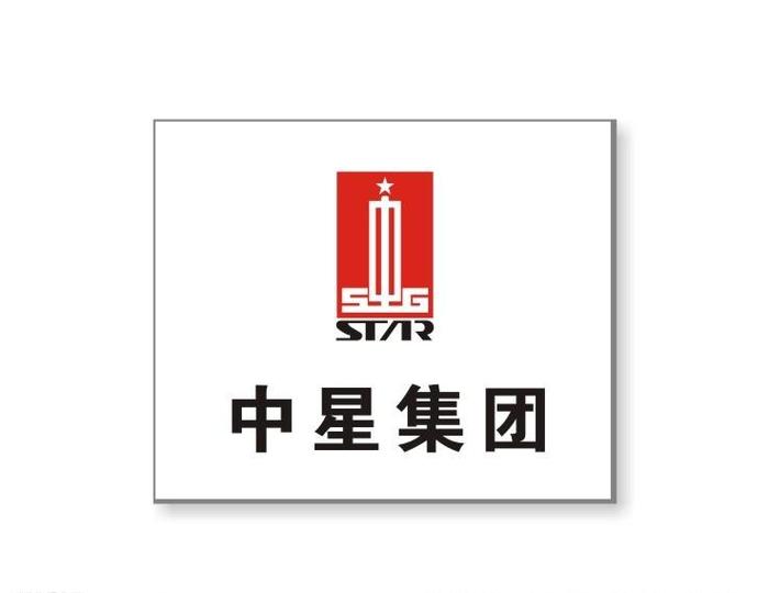中国星集团图标