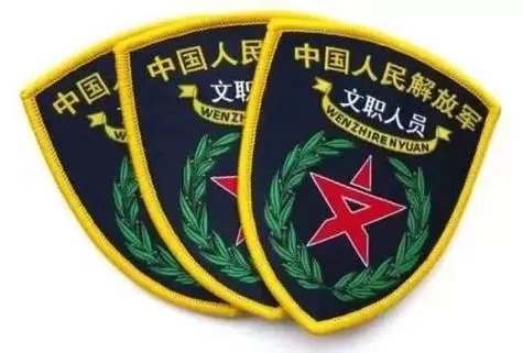 部队数据库职工是在编职工吗?图标