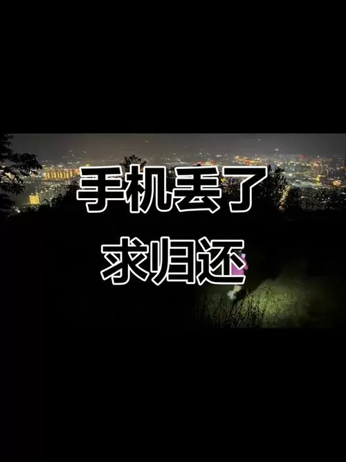 捡到手机后又扔了,有责任吗图标