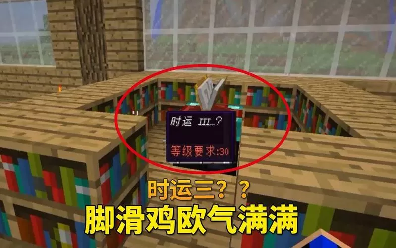我的世界时运3指令图标