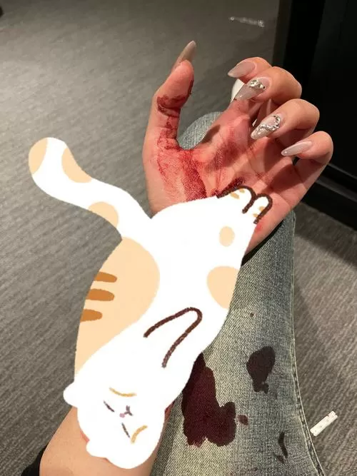 被猫爪的图片真实图标