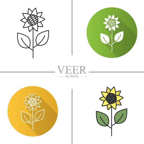 向日葵是什么植物图标