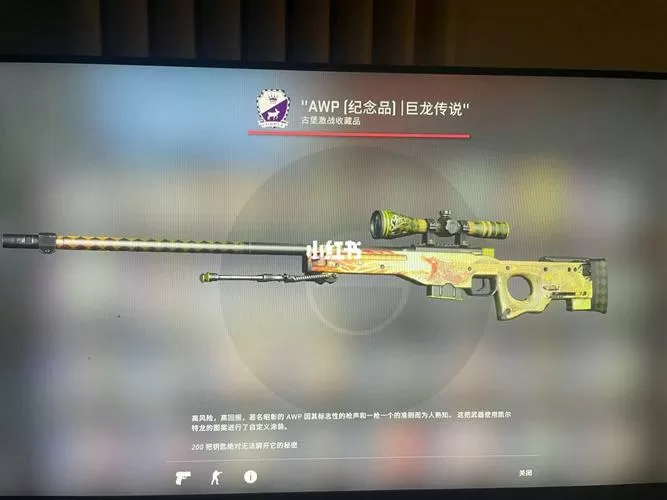 csgo龙狙纪念品好