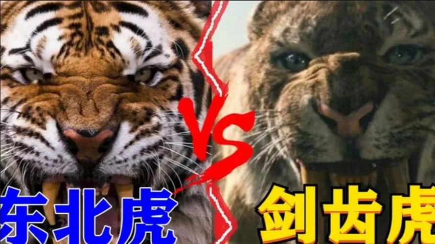 剑齿虎vs东北虎图标