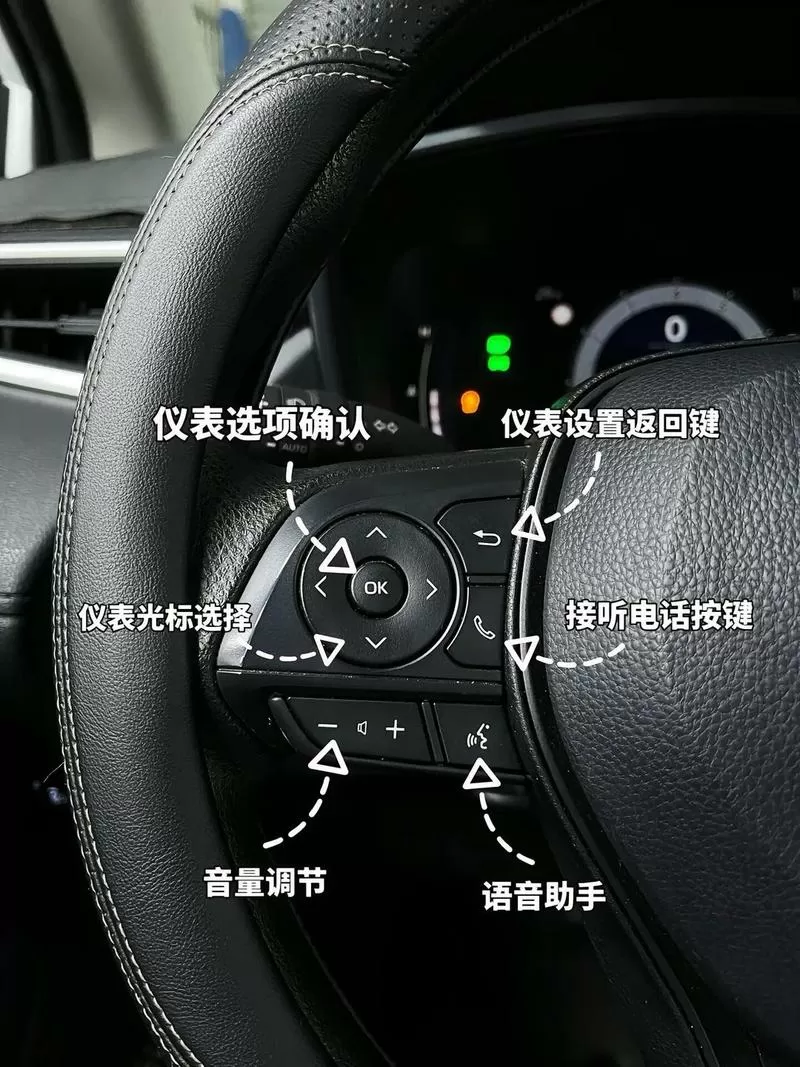 方向盘上的按键图解截图