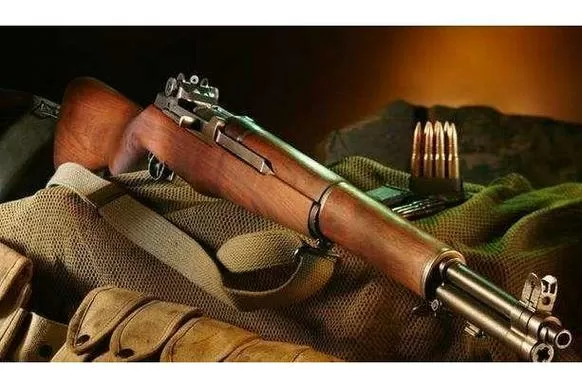 m1914式步枪截图